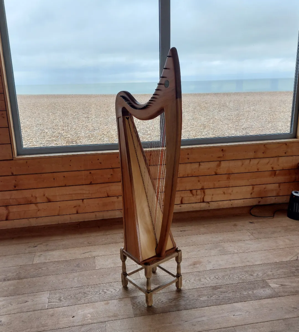 Family concerts – Harp For Hospitals